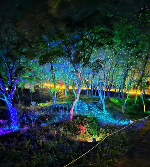 사랑을 걷는 밤…정읍 ‘달빛 사랑숲’ 감성 충전 명소로